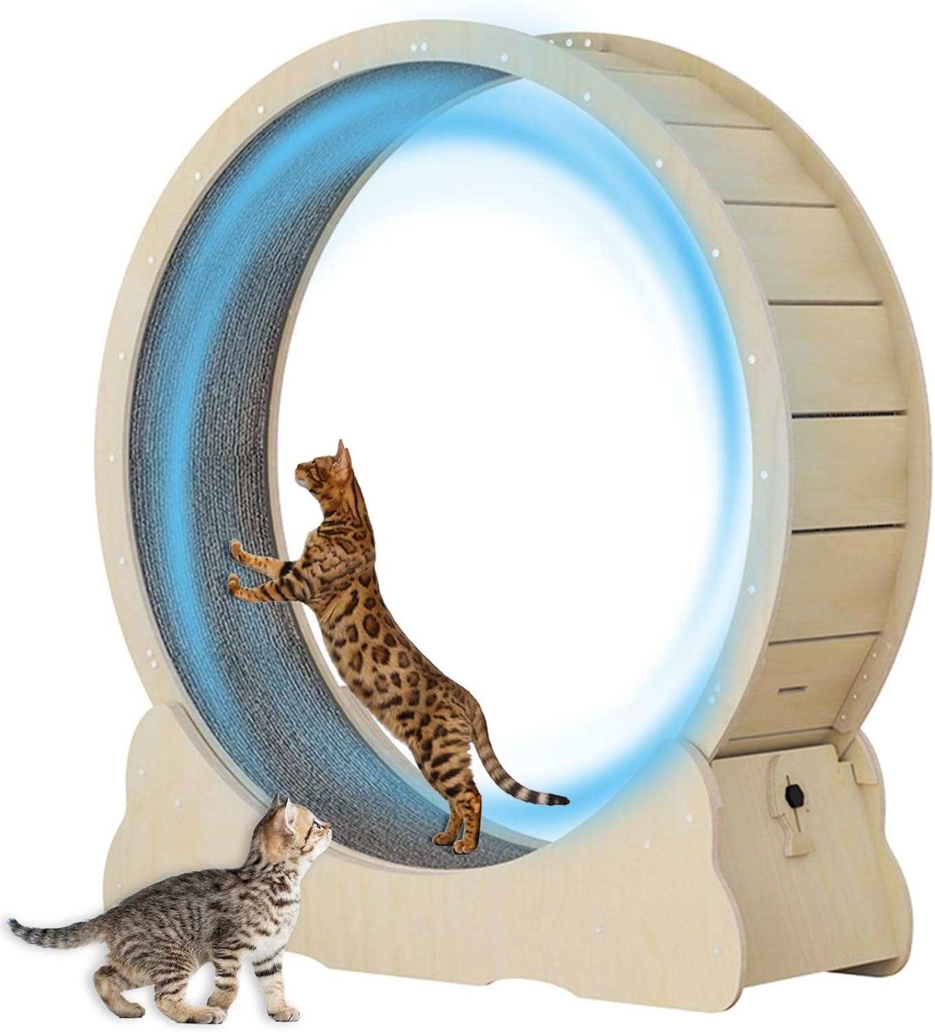 Pefilos 36" Cat Exercise Wheel for Indoor Cats, Cat Running Wheel with ...