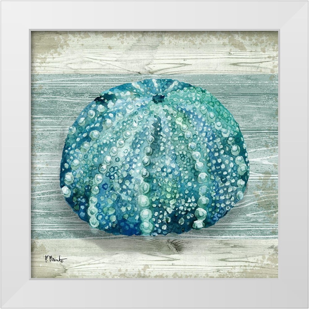 Brent, Paul 20x20 White Modern Wood Framed Museum Art Print Titled - Northpoint Shells I ...