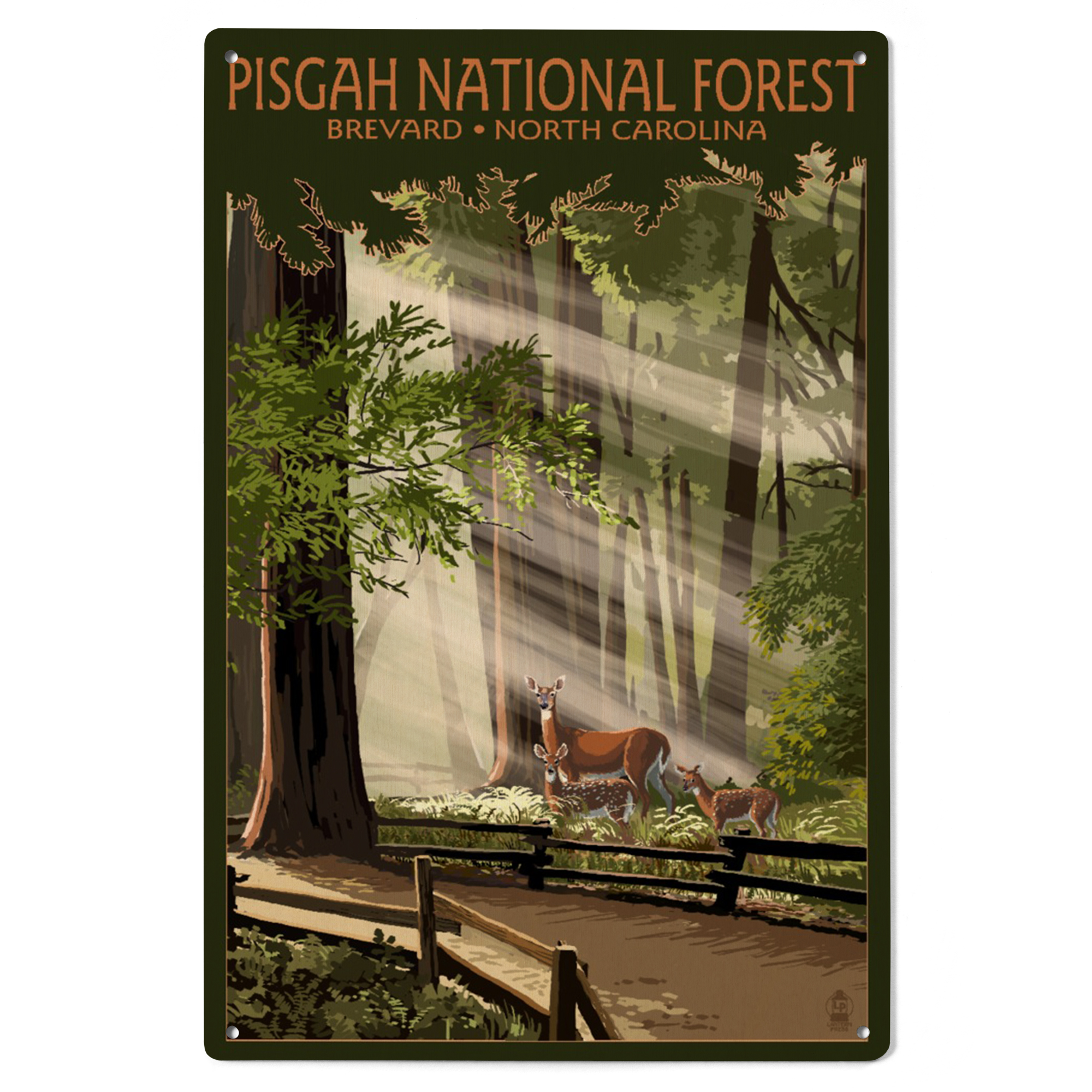 Brevard, North Carolina, Pisgah National Forest, Deer and Fawn Birch ...