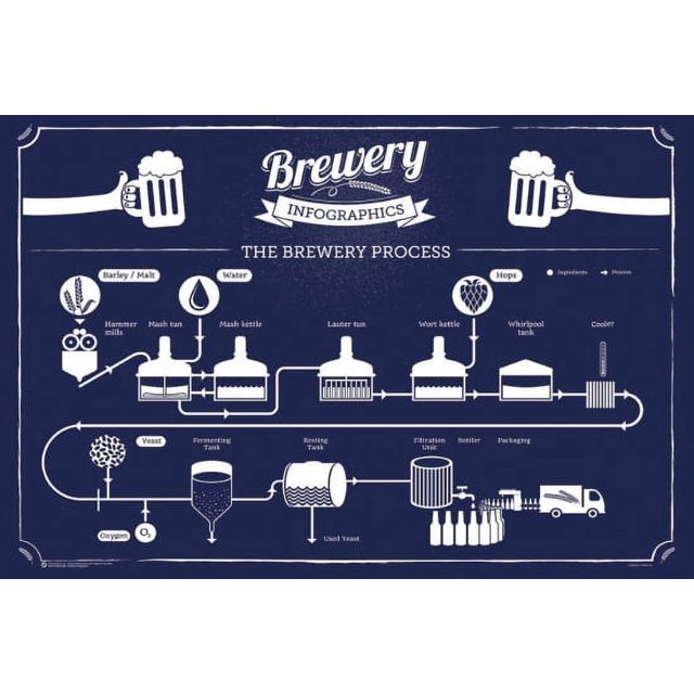 Brewery Infographic Laminated Poster (24 x 36) - Walmart.com