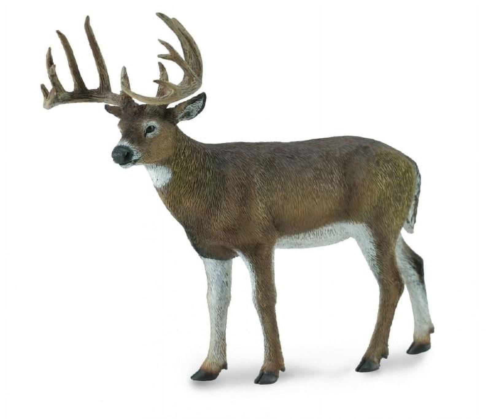 Breyer CollectA Wildlife Collection Miniature White-Tailed Deer Donkey ...