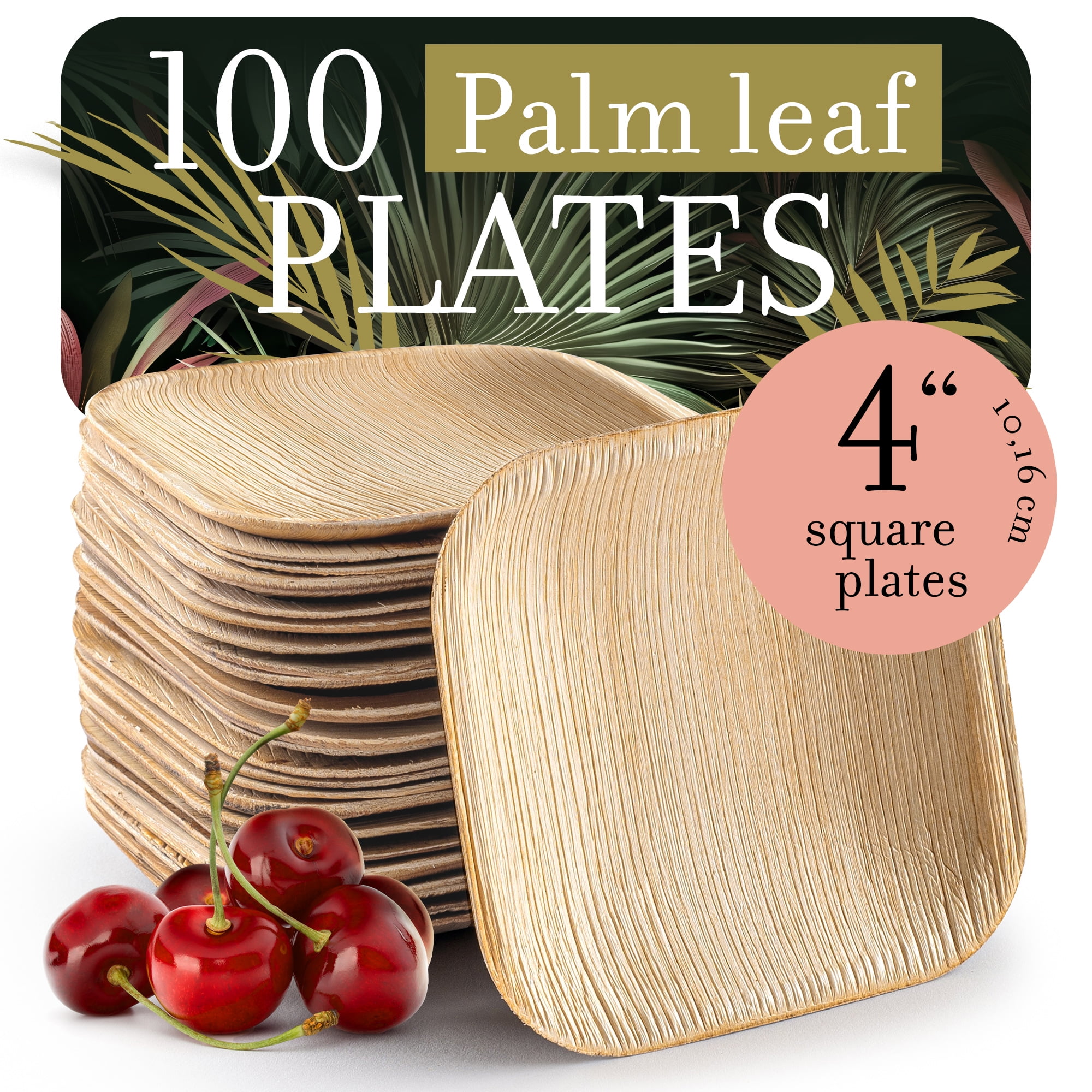 Brheez Disposable Plates Biodegradable Compostable Party Plates, 4 ...