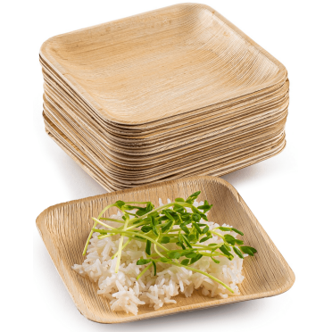 Brheez Disposable Plates Eco Friendly Compostable Biodegradable Round ...