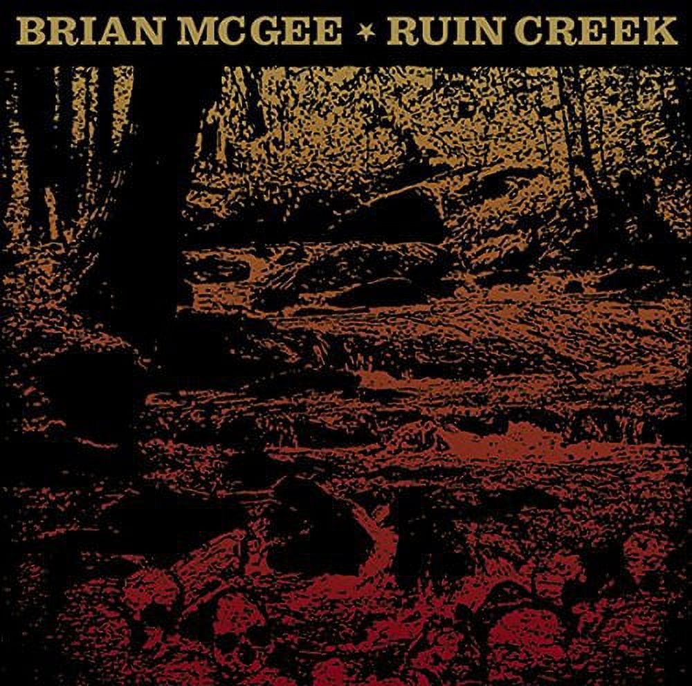 Brian McGhee - Ruin Creek - Rock - Vinyl - Walmart.com