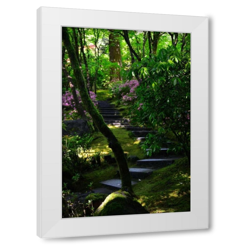 Brian Moore 23x32 White Modern Wood Framed Wall Art Titled - Garden ...