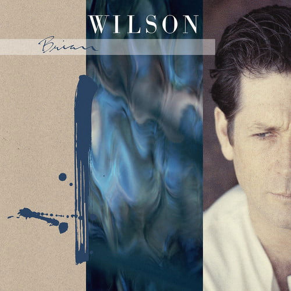 Brian Wilson - Brian Wilson - Vinyl - Walmart.com