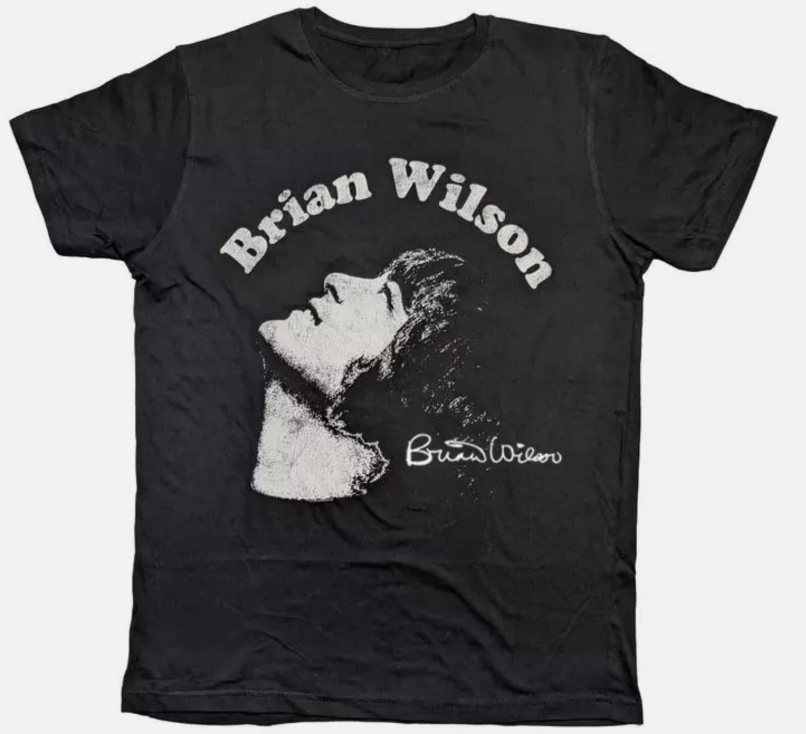 Brian Wilson New T-SHIRT Unisex Full Size S to 5XL - Walmart.com