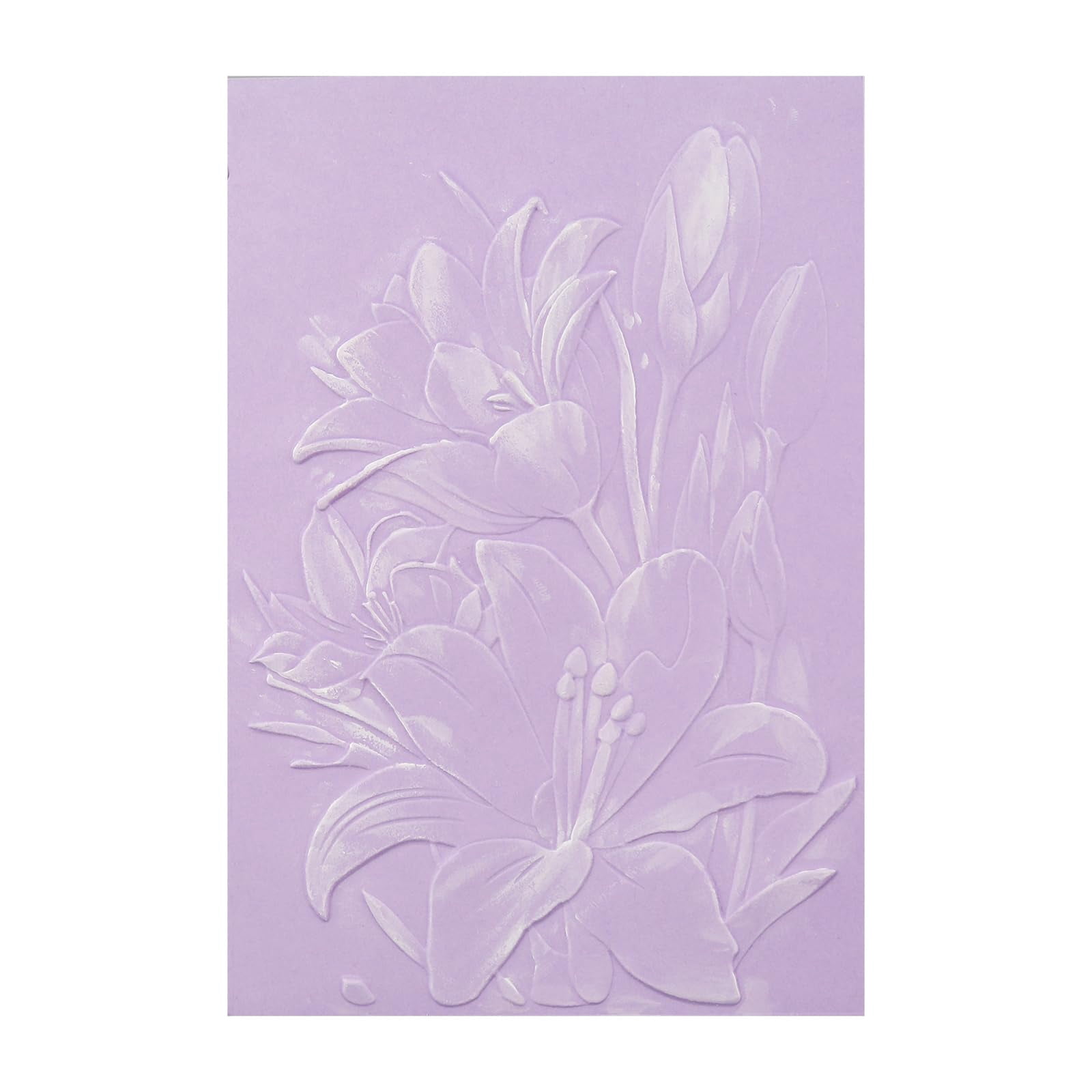Briartw 3D Embossing Folder AIF9 for Card Making,Lily Flowers Clear ...