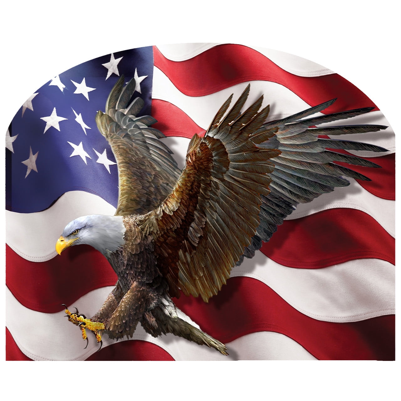 Briarwood Lane American Freedom Eagle Acrylic Art Sign - Walmart.com