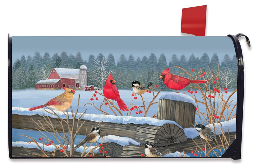 Briarwood Lane Magnetic Standard Size Mailbox Cover - Birds of Winter ...