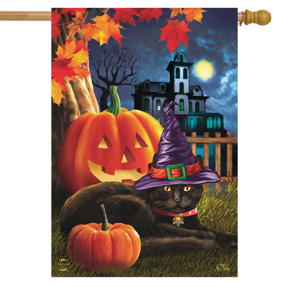 Briarwood Lane Black Cat House Flag - Walmart.com