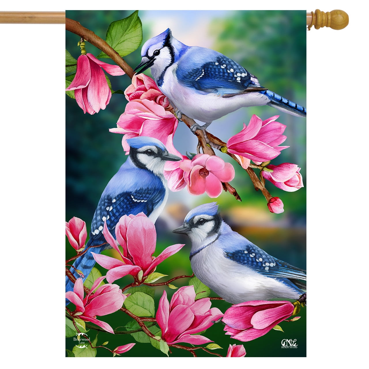 Briarwood Lane Blue Jay Trio Spring House Flag - Walmart.com