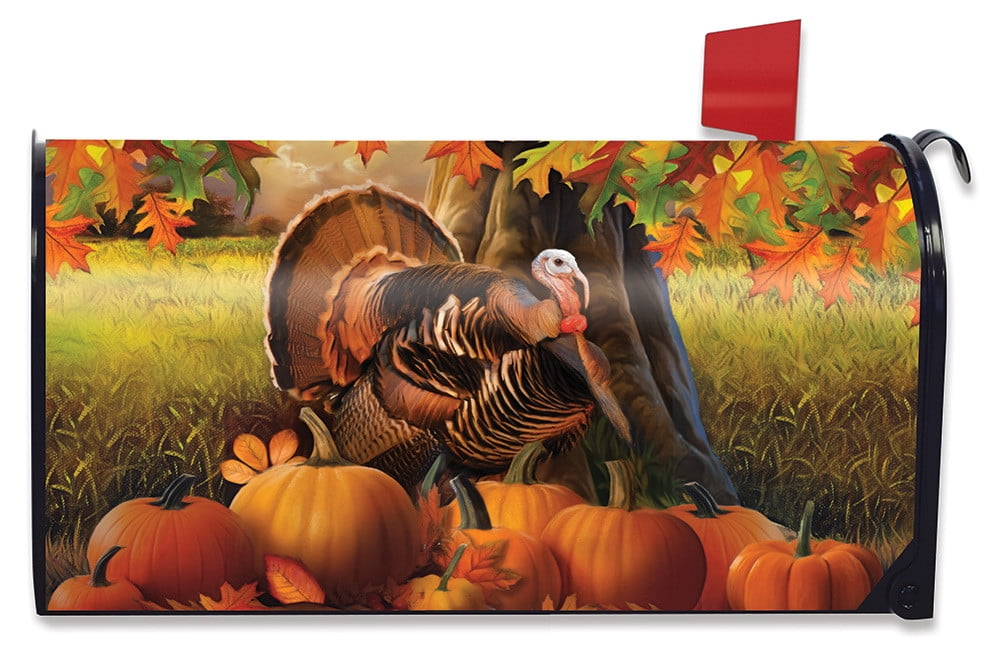Briarwood Lane Harvest Turkey Fall Mailbox Cover - Walmart.com