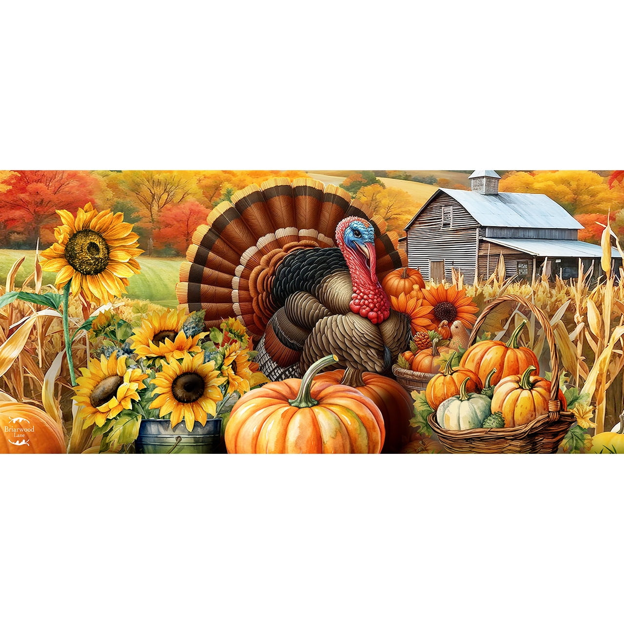 Briarwood Lane Wild Turkey and Pumpkins Mini Mat - Walmart.com
