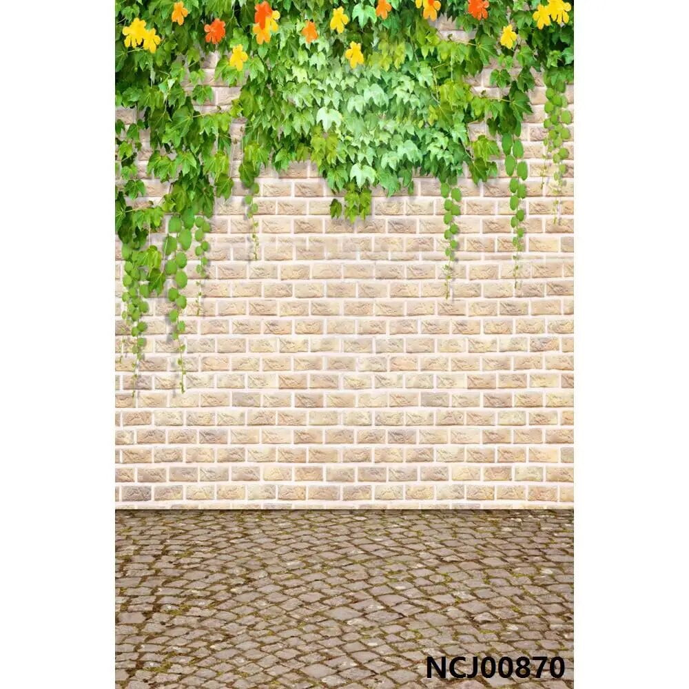 Brick Wall Wooden Floor Flowers Vine Baby Portrait Photography ...