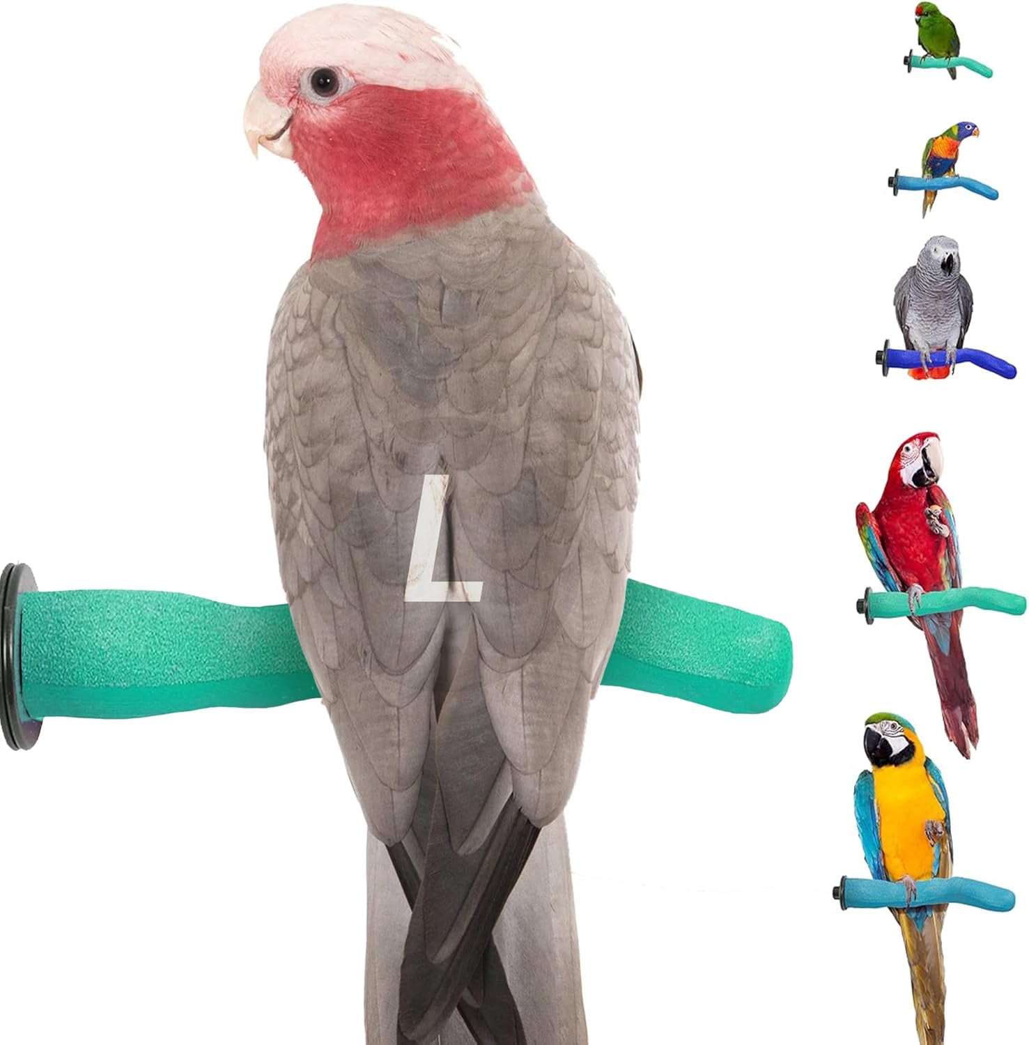 Brid Cage Safety Pumice Perch - Trims Nails and Beak - Promotes Healthy ...