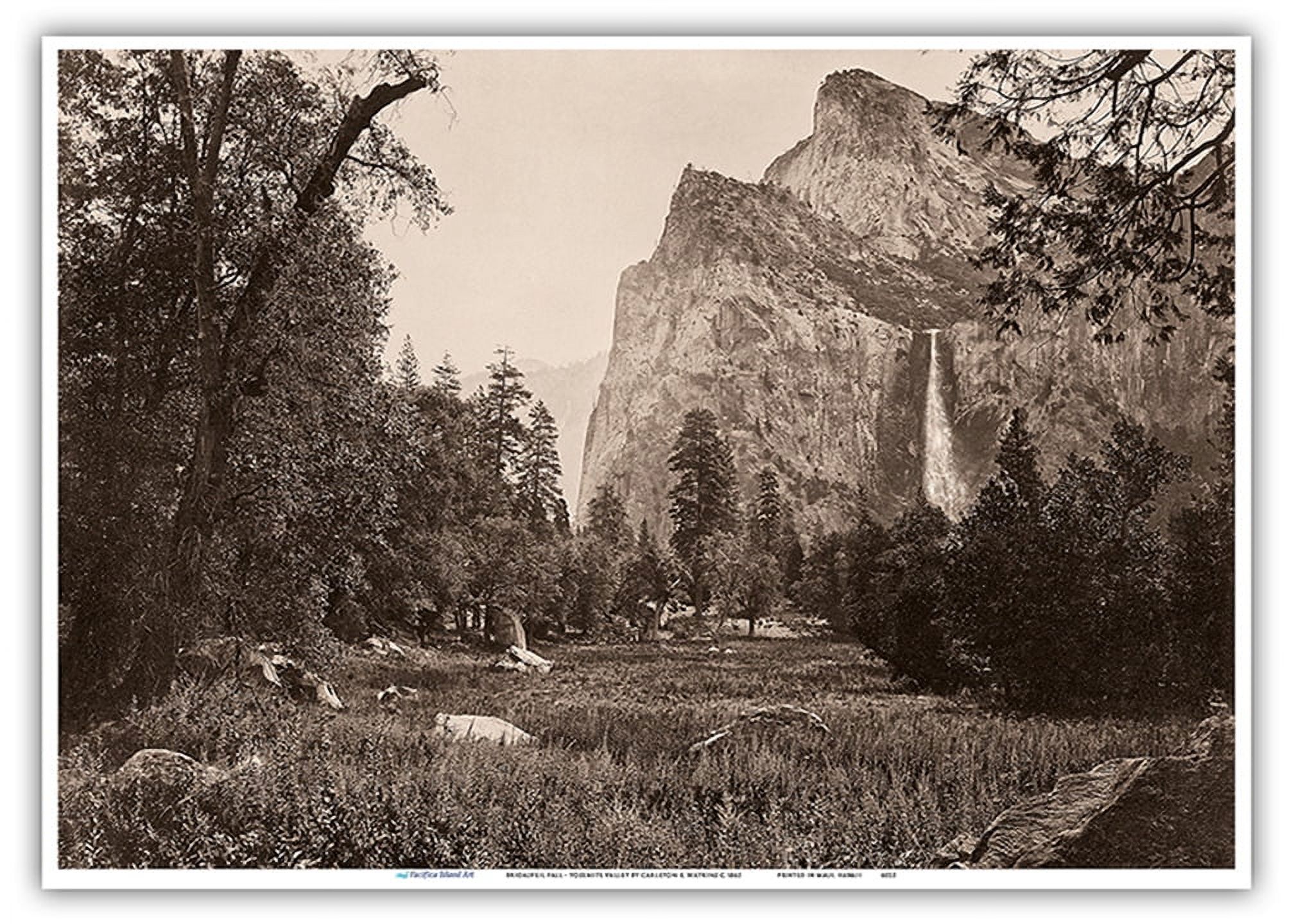 Bridalveil Fall - Yosemite Valley California - Black and White Historic ...