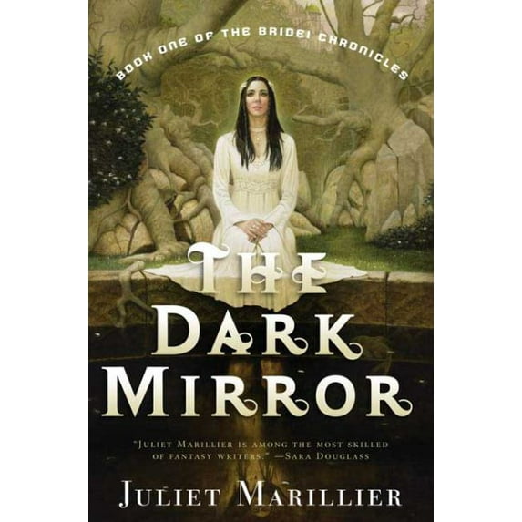Bridei Chronicles: The Dark Mirror : Book One of the Bridei Chronicles ...