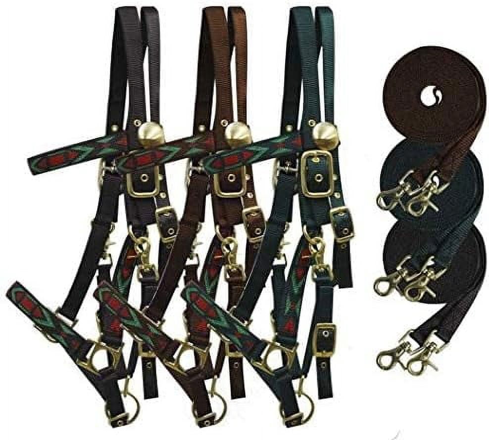 Bridle Combination w/Woven Aztec Motif & Reins - Walmart.com