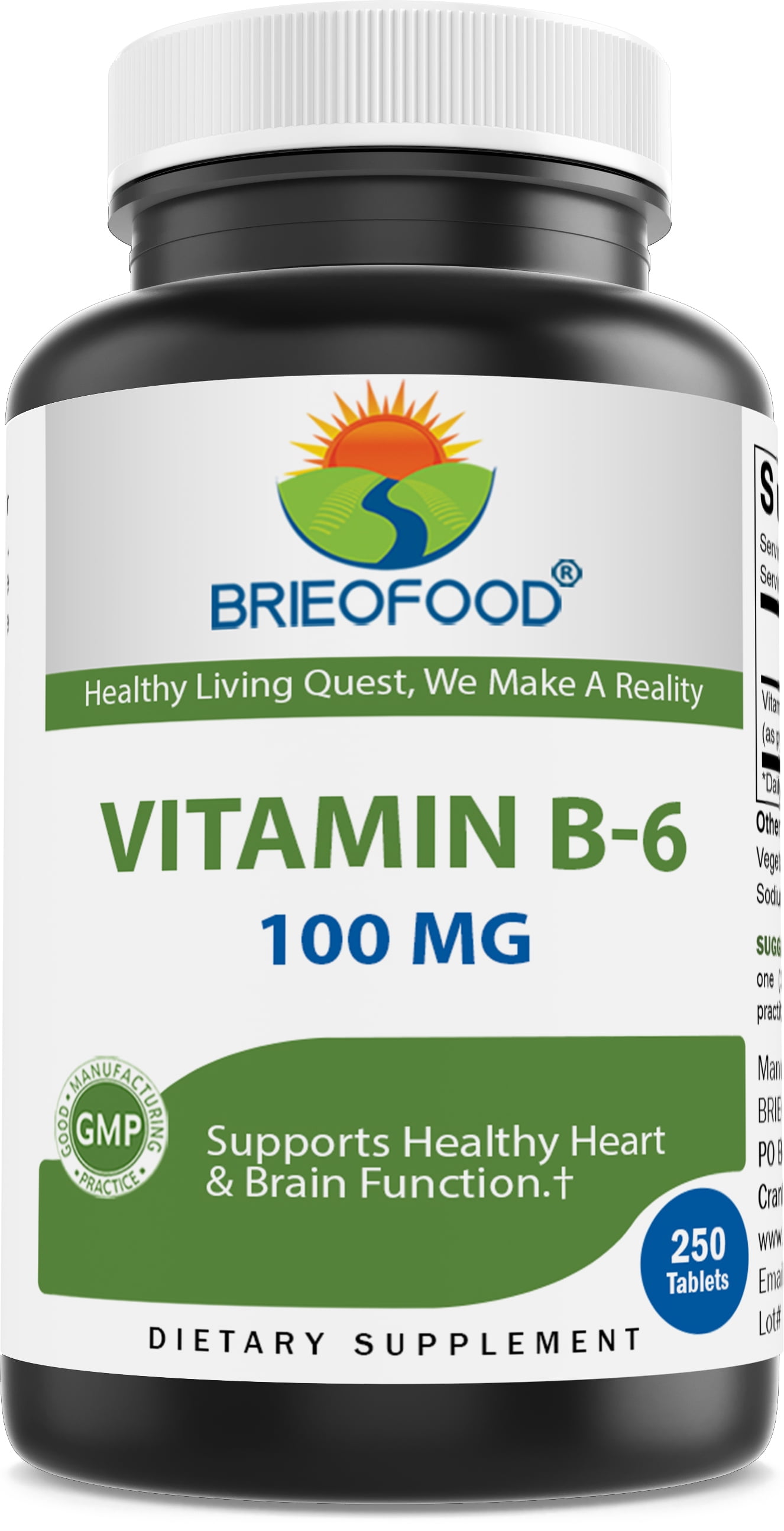 Brieofood Vitamin B6 100 mg 250 Tablets Promotes Nervous System and ...