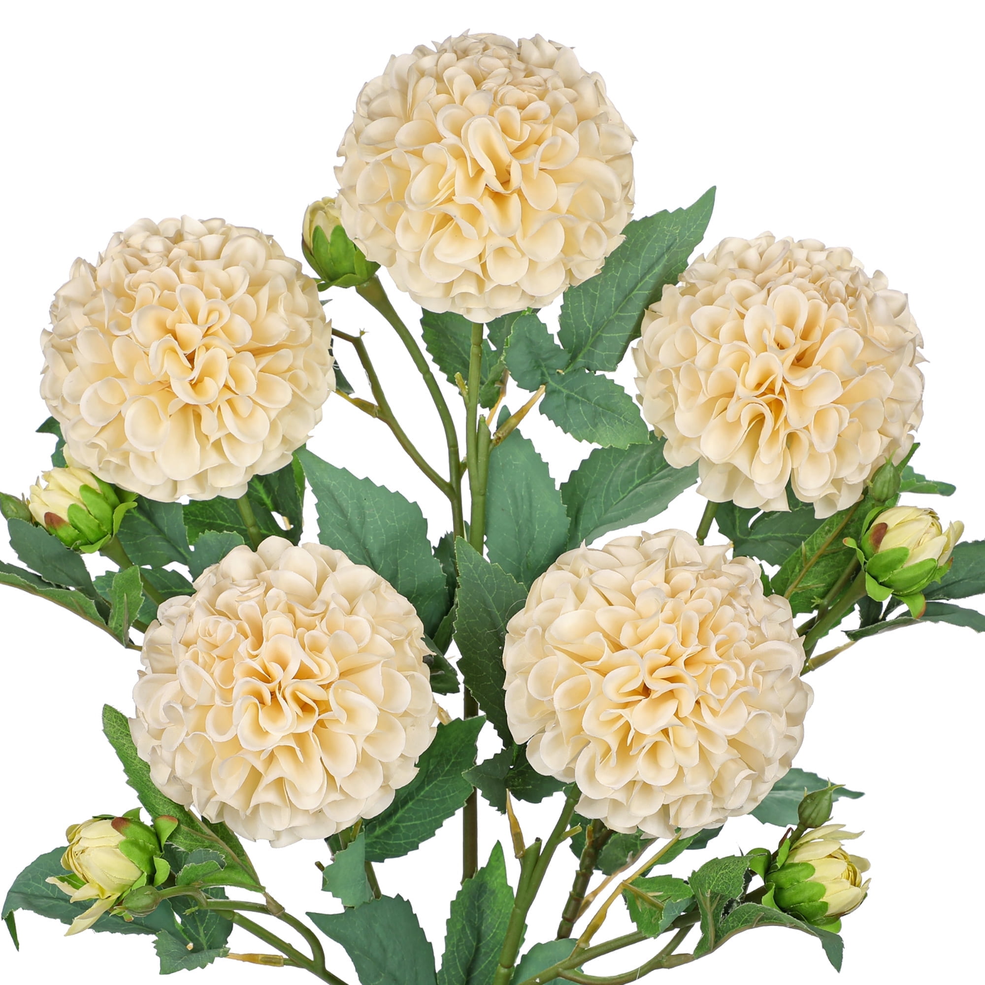 Briful 5Pcs Artificial Flowers Beige Dahlia Fake Silk Ball Flowers with ...