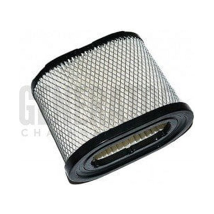 Briggs Briggs & Stratton 498596, 690106, 690610 - INTEK 60, 65 OHV Air ...