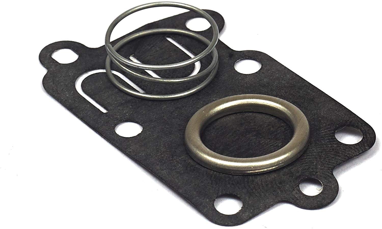 Briggs & Stratton Diaphragm Kit 5021K - Walmart.com