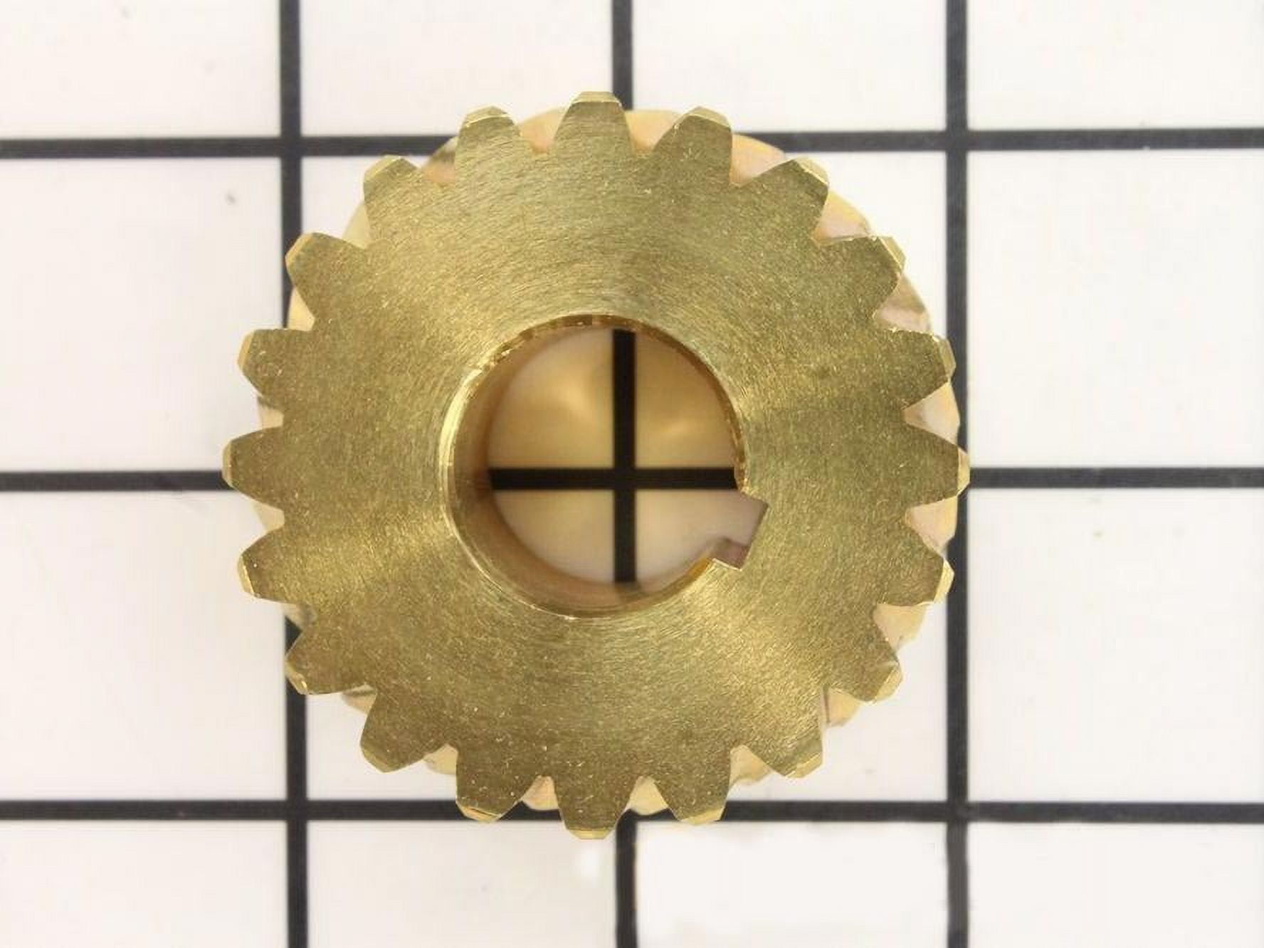 Briggs & Stratton Genuine 1676024SM GEAR WORM Replacement Part ...