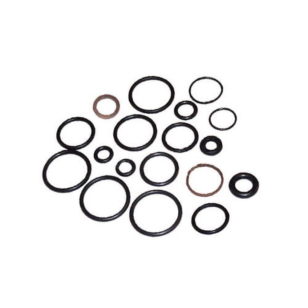 Briggs & Stratton Genuine 198847GS KIT O-RING Replacement Part ...