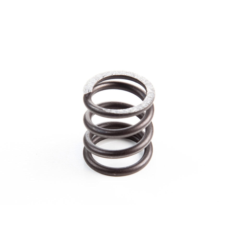 Briggs & Stratton OEM 26826 Spring-Valve - Walmart.com