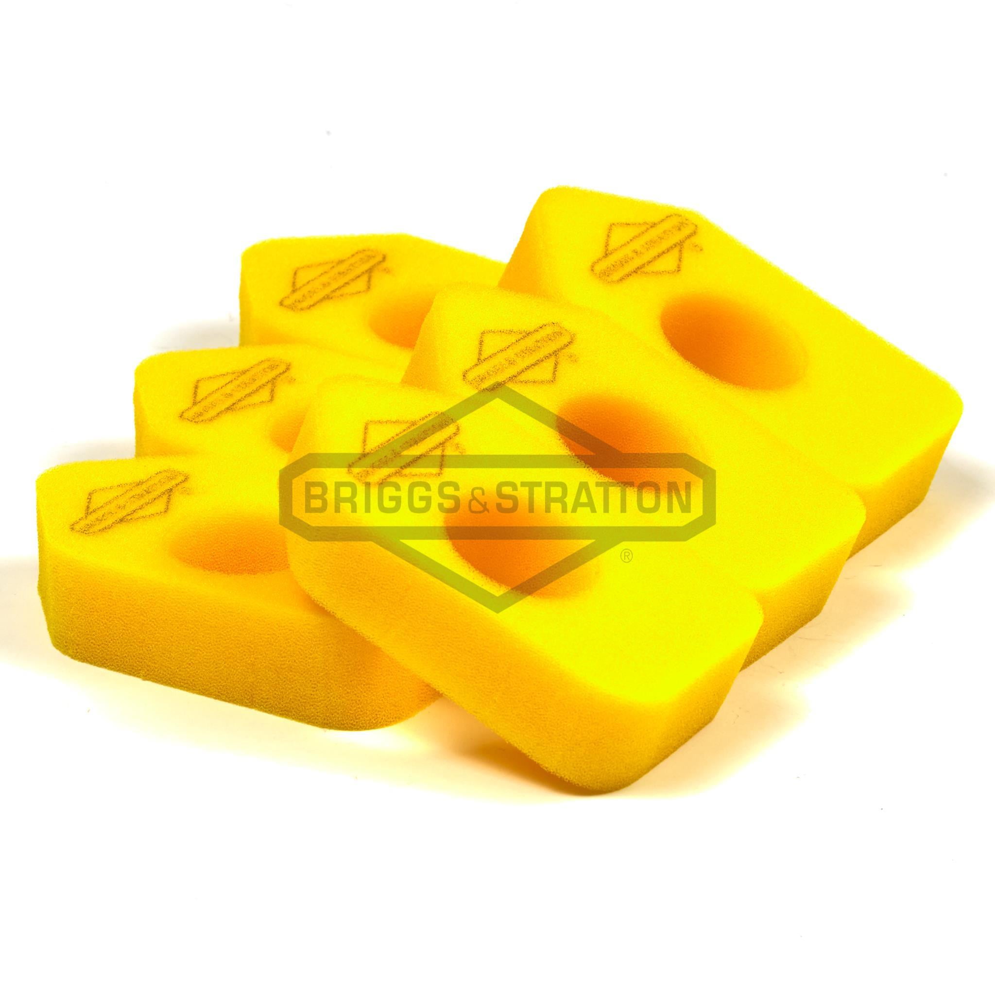 Briggs and Stratton 4216 Air Filter (6 of 698369) - Walmart Business ...