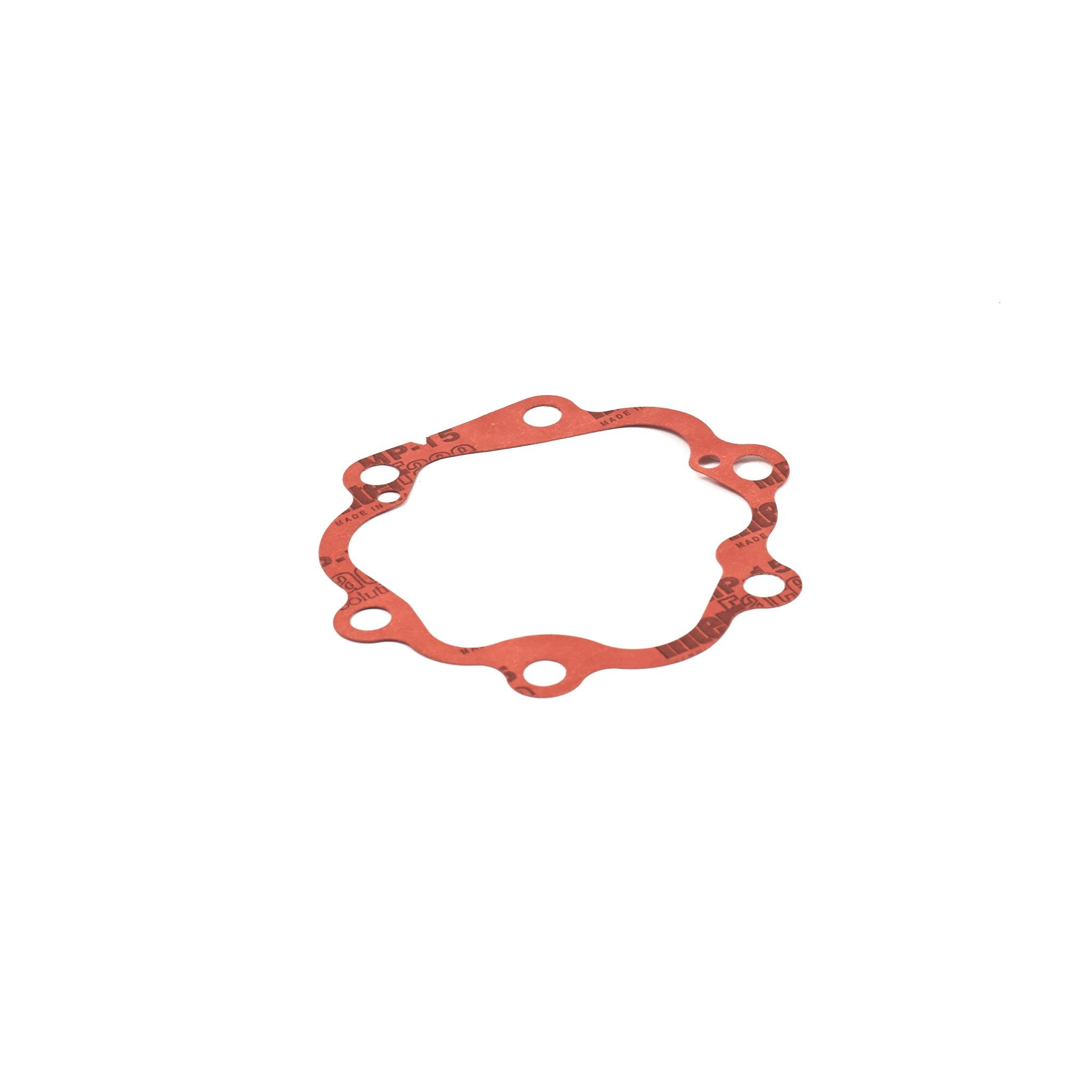 Briggs and Stratton A2069GS Gasket - Pump Head - Walmart.com