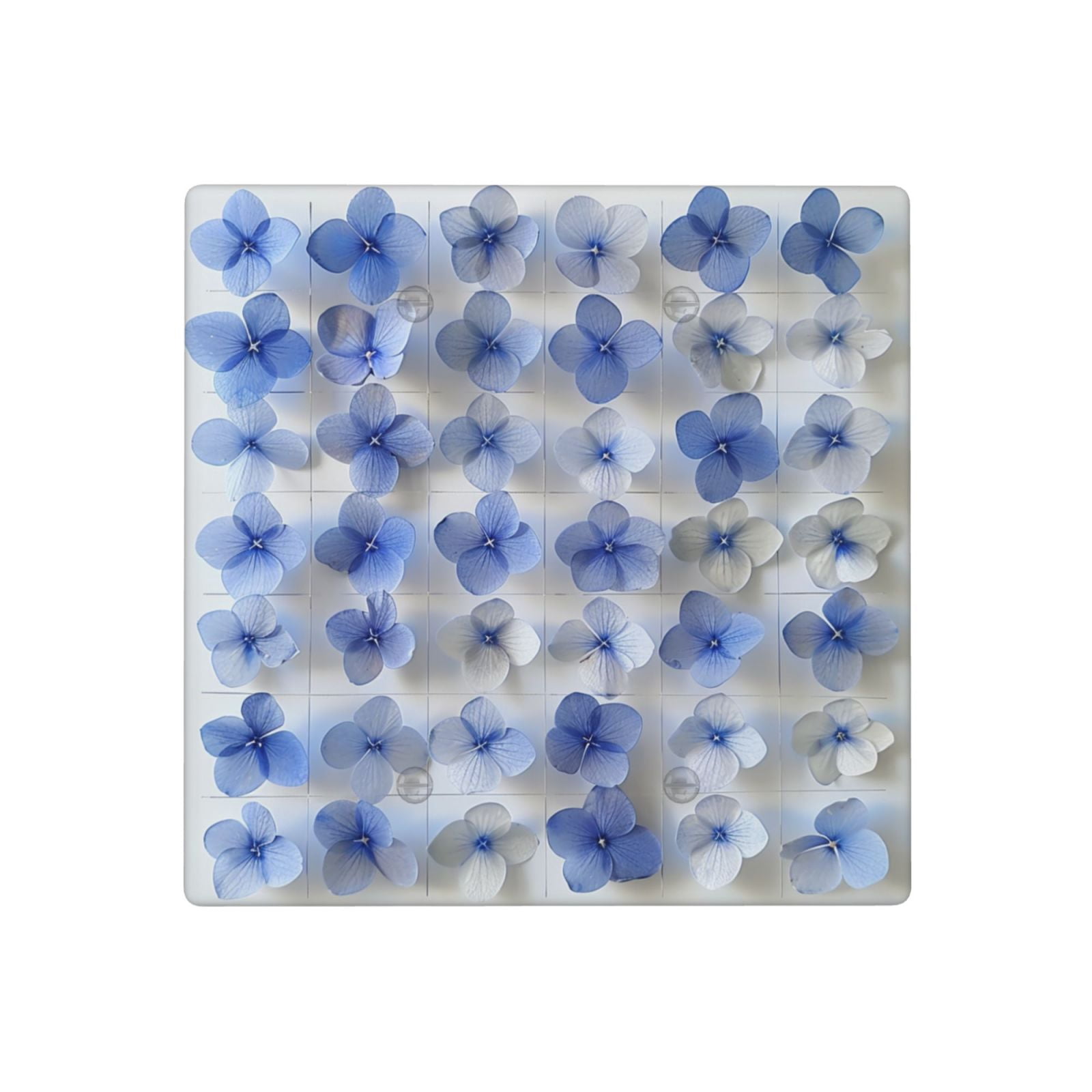 Bright Blue Flowers Switch Cover Decorative Wall Plate / 2-Gang Blank ...