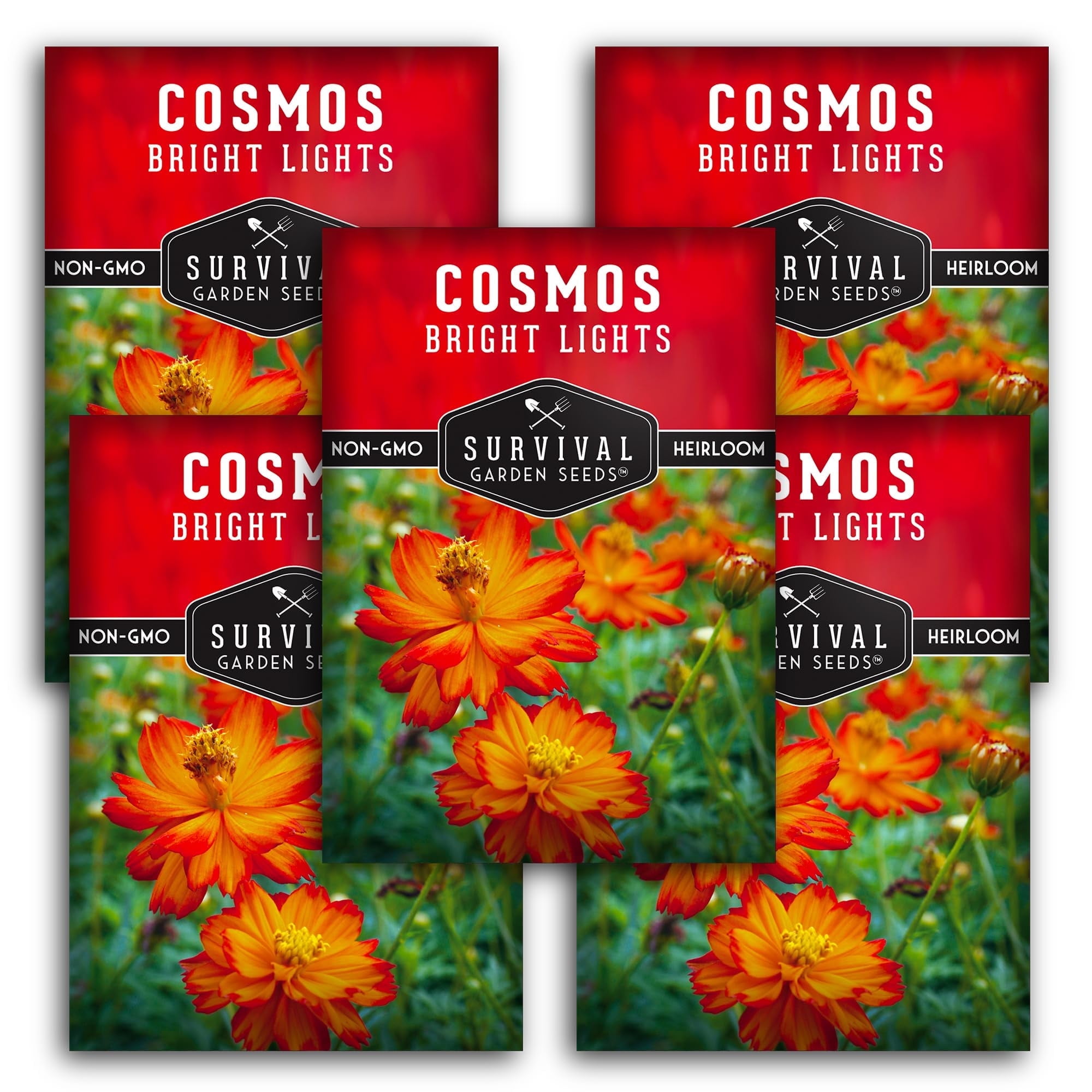 Bright Lights Cosmos Seeds - 5 pack - Non-GMO Heirloom Full Sun Annual ...