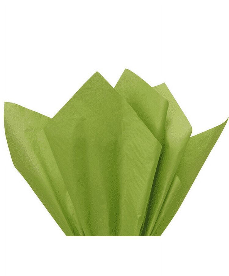 Bright Lime Tissue Paper Squares, Bulk 48 Sheets, Premium Gift Wrap and ...