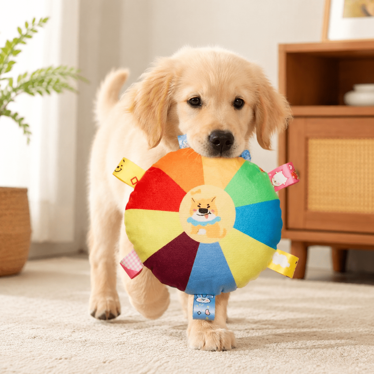 Bright Multicolor Squeaky Dog Frisbee Toy, Durable Tear-Resistant Woven ...