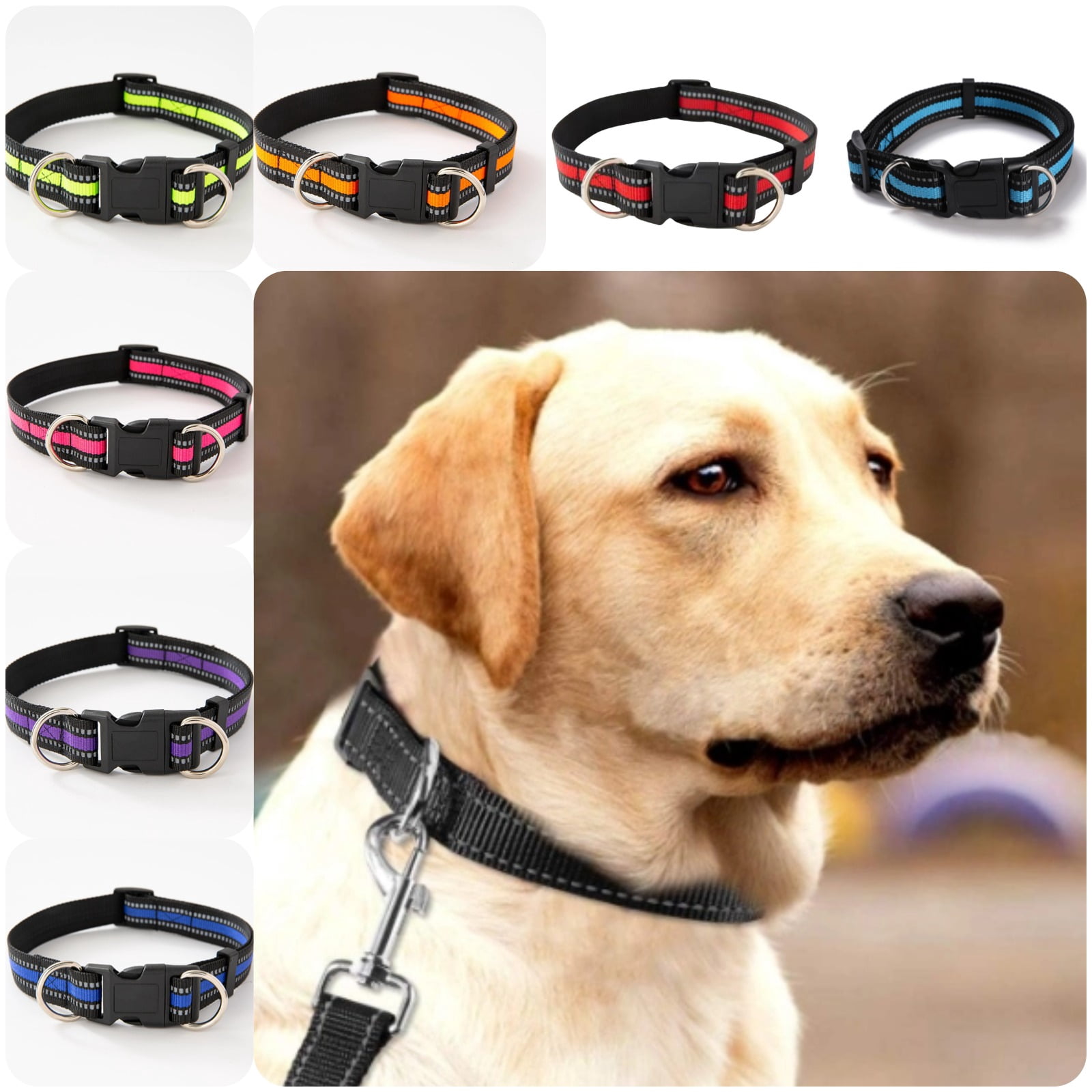 Bright Purple Reflective Dog Collar for Small Dogs – Adjustable Quick ...