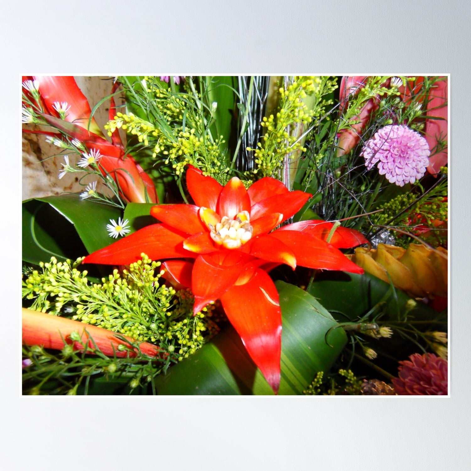 Bright Red Flower Poster Wall Art, Modern Wall Decor, 24x36 UNFRAMED ...