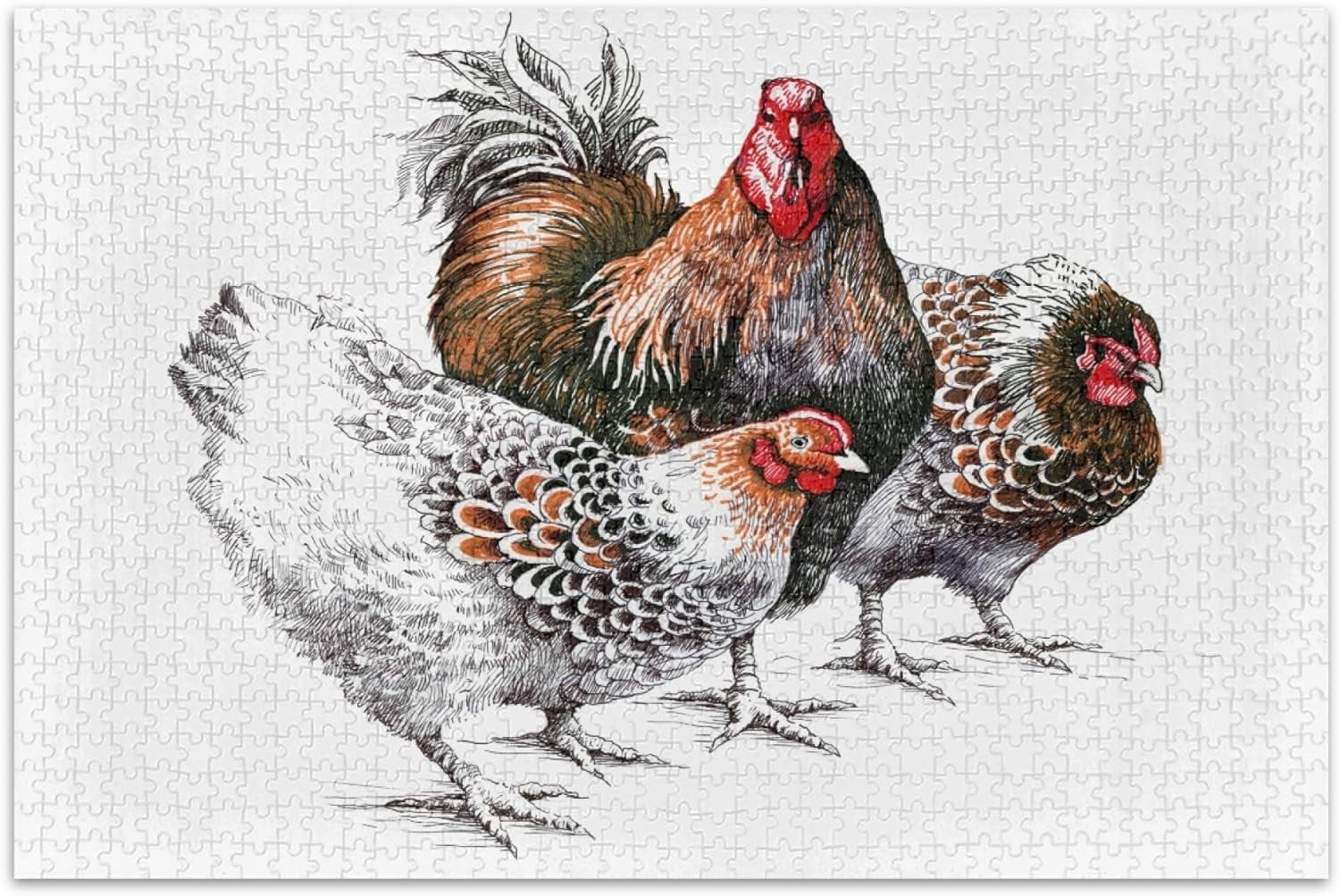 Bright Rooster and Hen Isolated Object Jigsaw Puzzle 500 Pieces ...