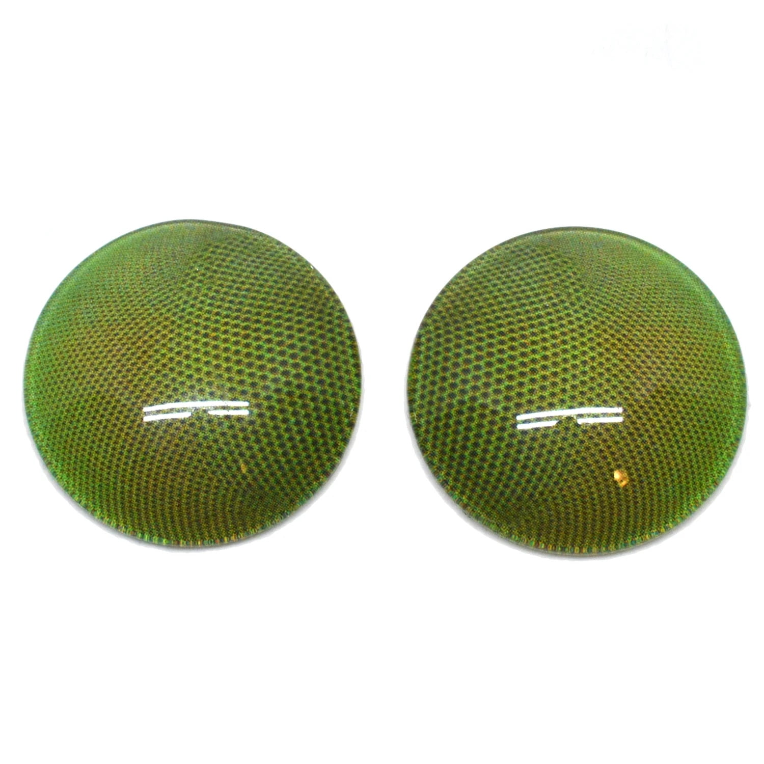 Bright Shiny Green Robber Fly Insect Bug Compound Glass Eyes - Walmart.com