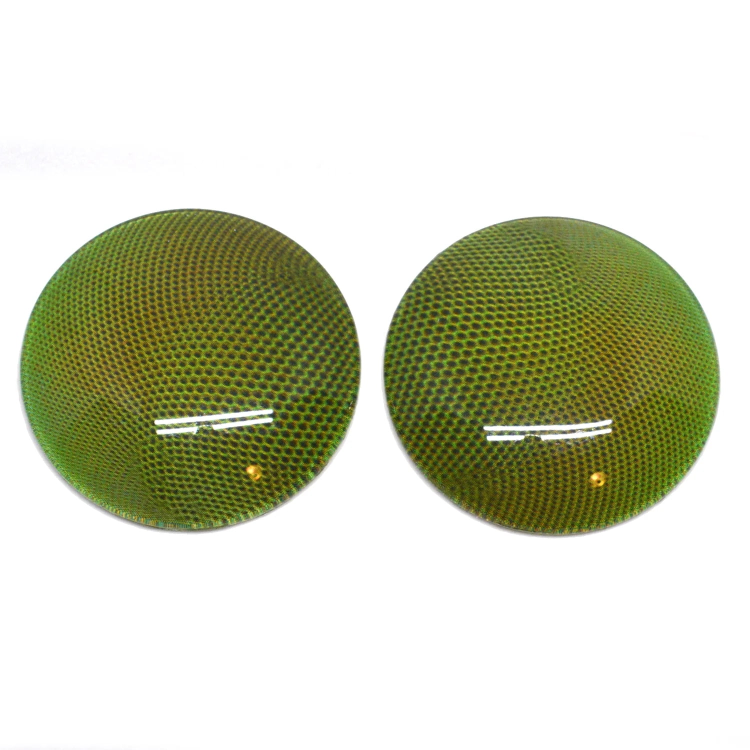 Bright Shiny Green Robber Fly Insect Bug Compound Glass Eyes - Walmart.com