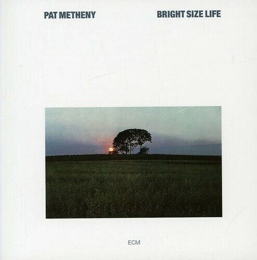 Pre-Owned Bright Size Life by Pat Metheny (CD, 2000) - Walmart.com