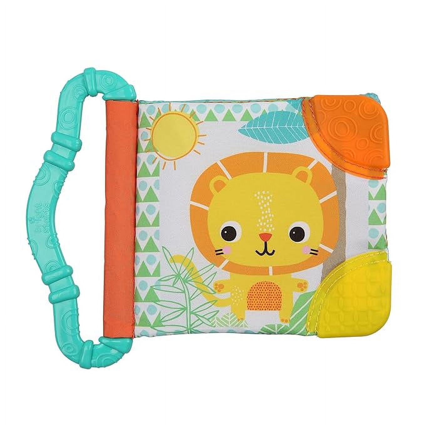 Bright Starts Teethe & Read Soft Book Toy, Ages 3 Months +, Style May ...