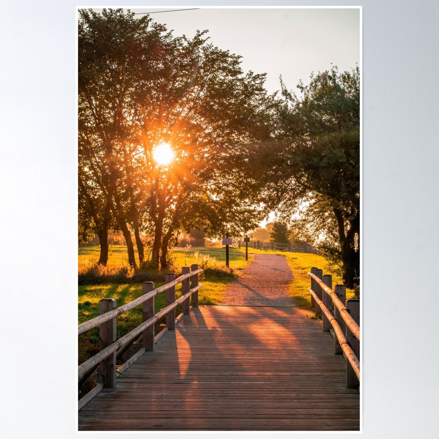 Bright Summer Morning Sunrise Poster Wall Art, Modern Wall Decor, 8x12 ...