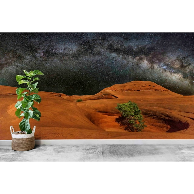 Bright Wallpaper, Paper Wall Art Cosmos Wall Art, Tree Lanscape ...