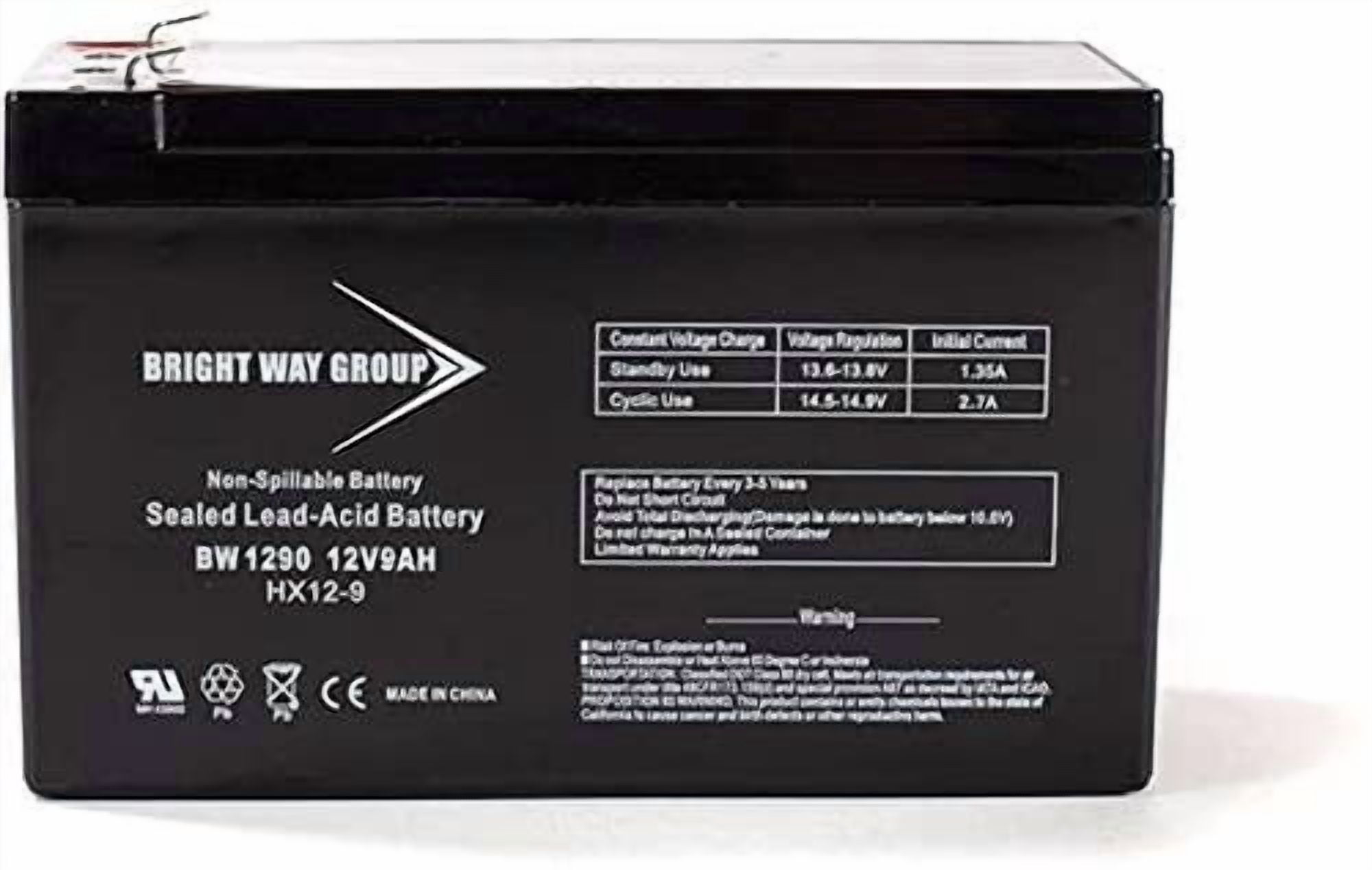 Bright Way Replacement Battery for APC Back-UPS 1200 BX1200-CN 12V 9AH ...