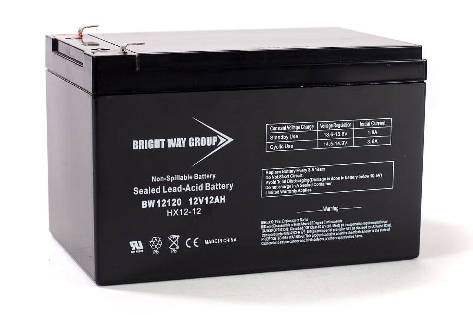 Bright Way Replacement Battery for FirstPower FP12120D BW 12V 12AH F2 ...