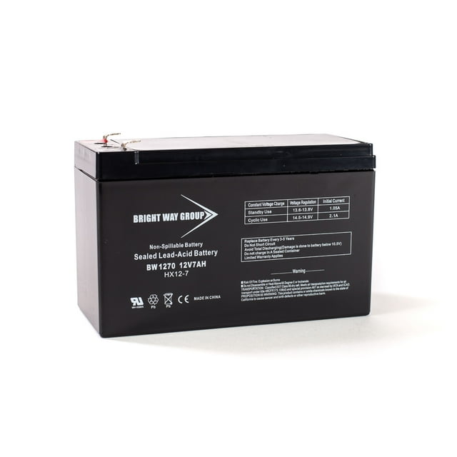 Bright Way Replacement Battery for SLA Rico Suction Labs PB-12 PB-12X ...