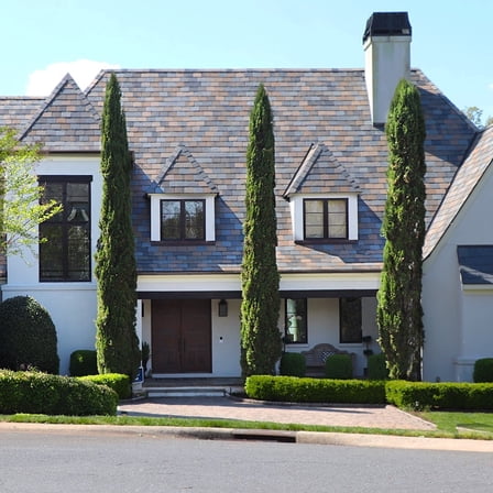 Italian Cypress Trees for Home Landscaping