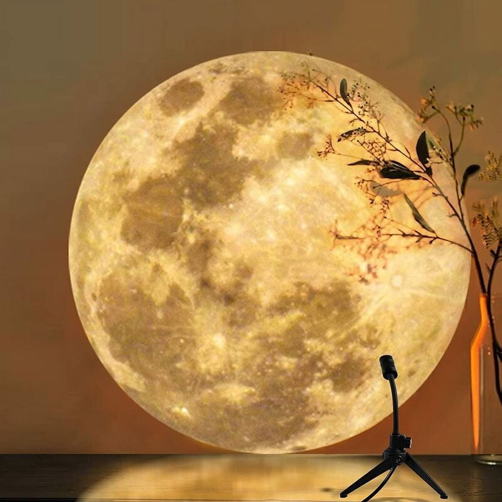 Brightness Adjustable 360 Degree Rotation Moon Lamp Projector, Warm ...
